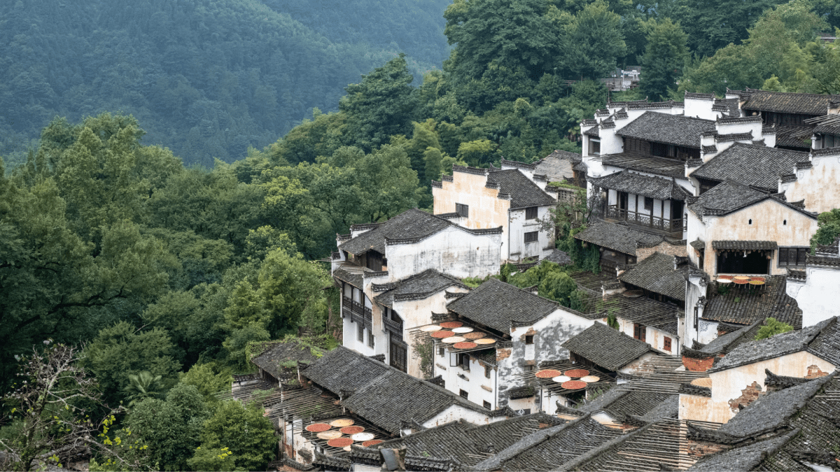 (SEC08B) 8D JIANGXI MT LUSHAN MT SANQING GuiFeng Wang Xian Valley ...